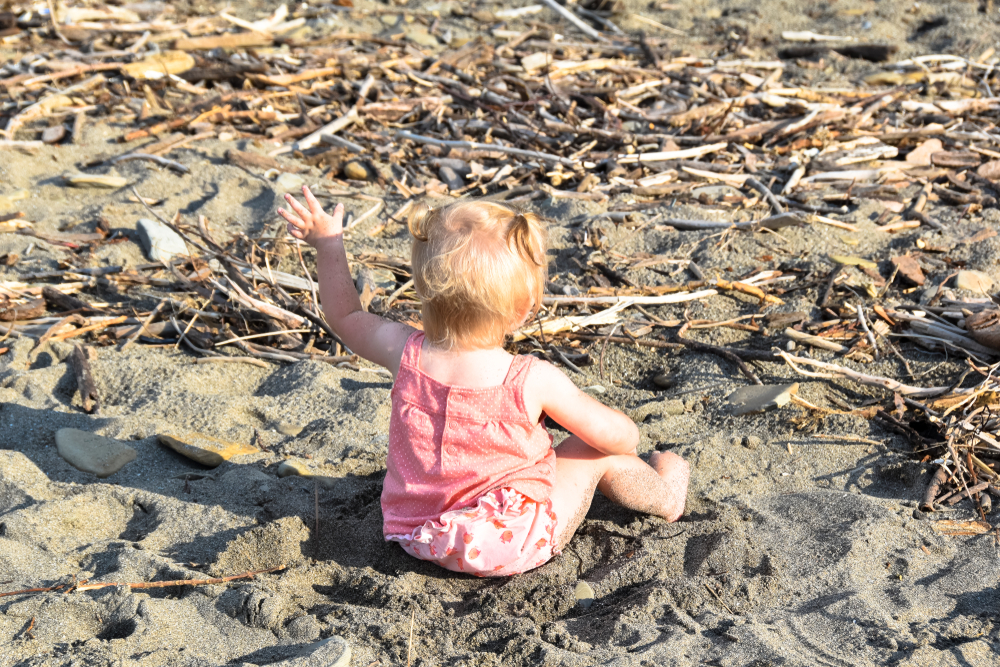 Building Knowledge In Infants And Toddlers Who Are Blind Or Low Vision building-knowledge-in-infants-and-toddlers-who-are-blind-or-low-vision
